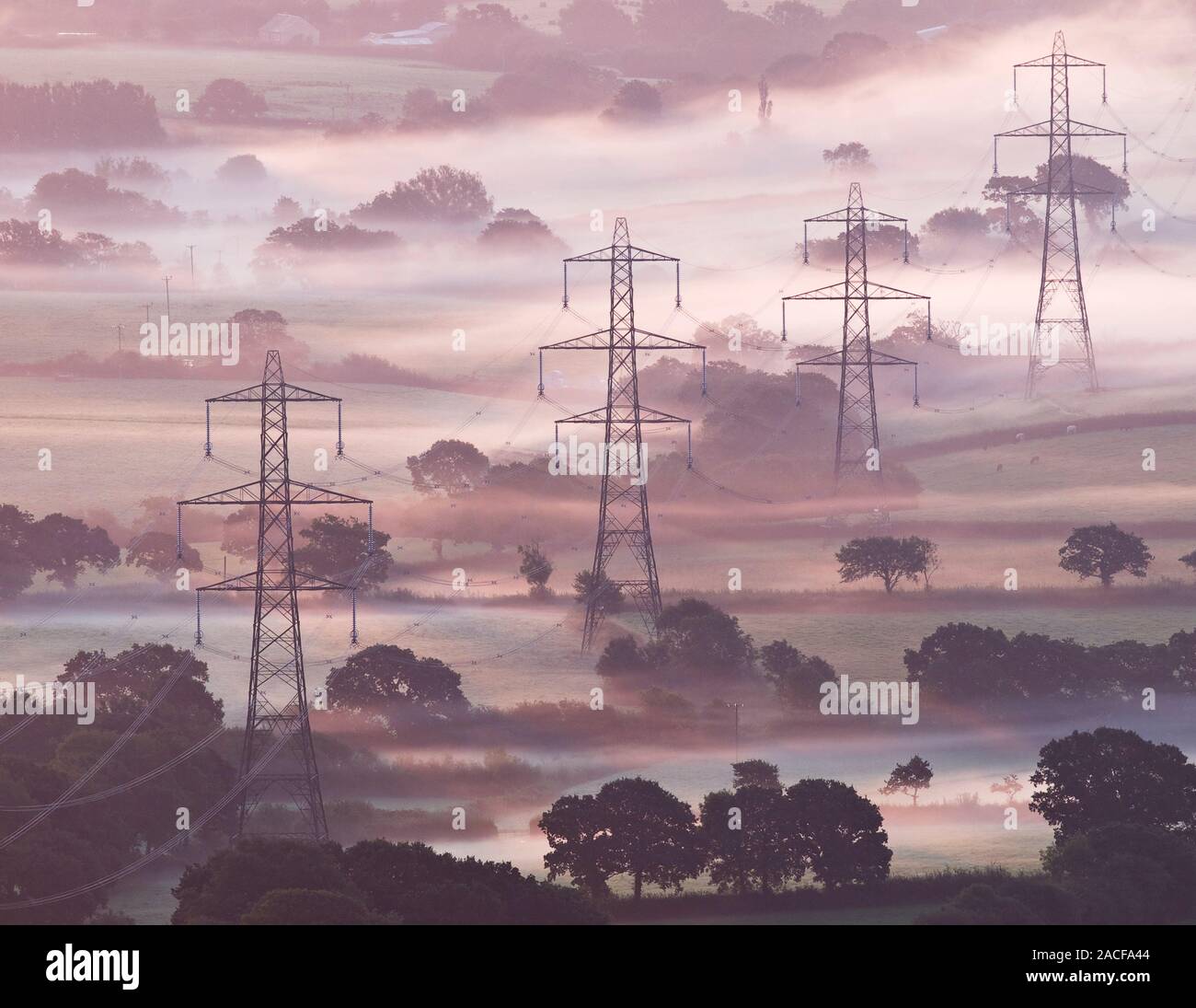 National Grid pylons in dawn mist Stock Photo - Alamy
