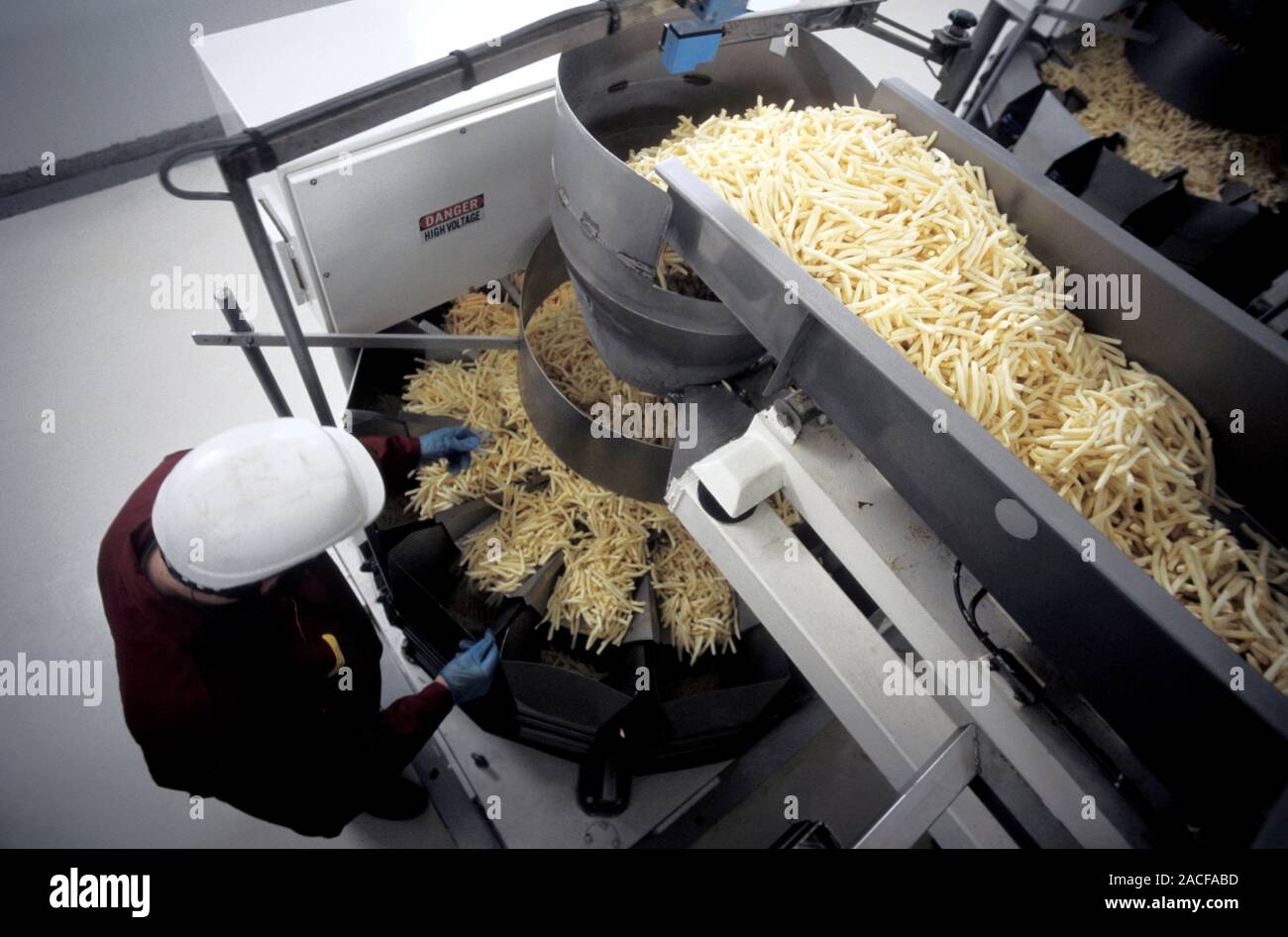 Frozen chip factory. Frozen chips being separated into batches ready ...