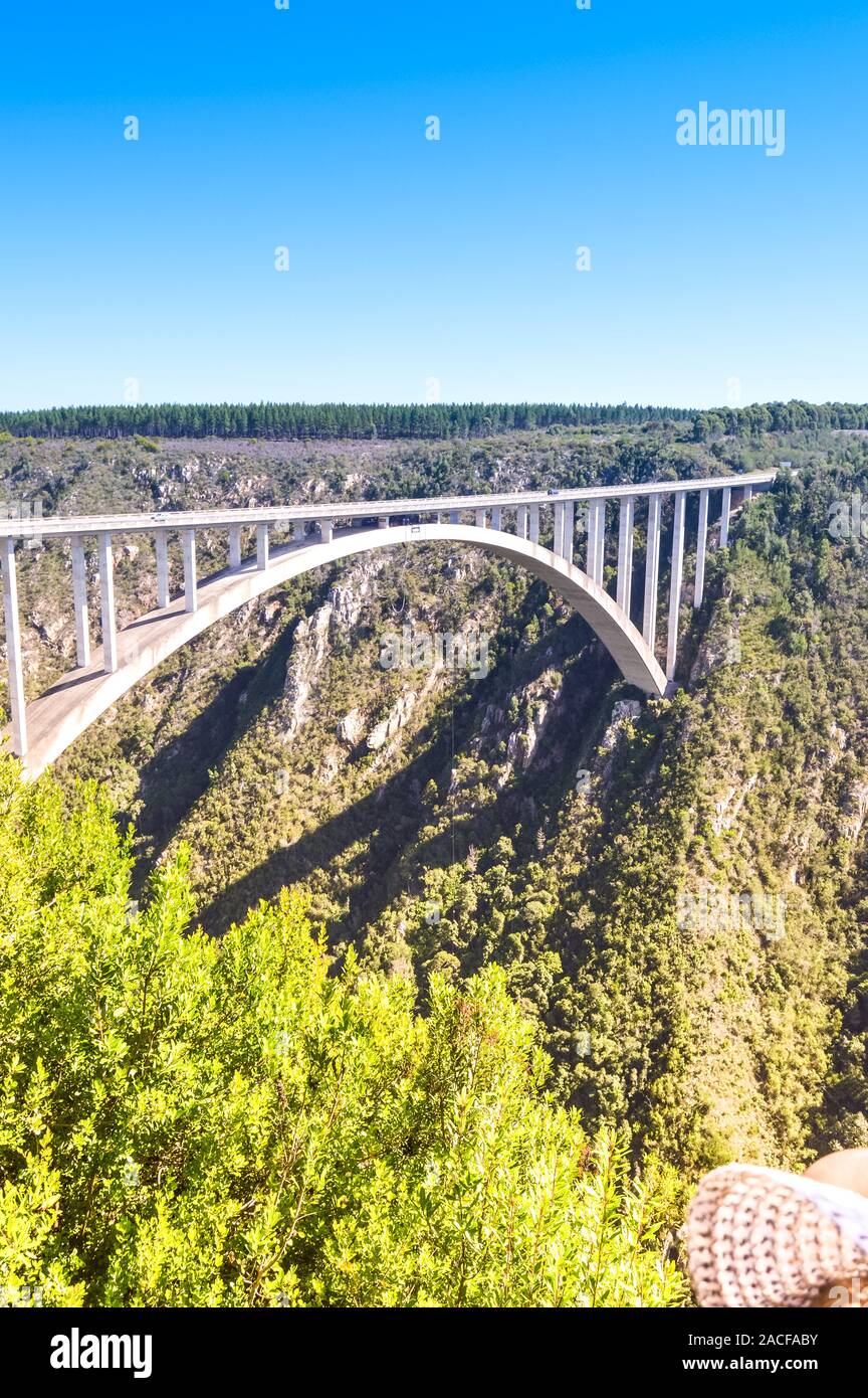 Bunji jumping hi-res stock photography and images - Alamy