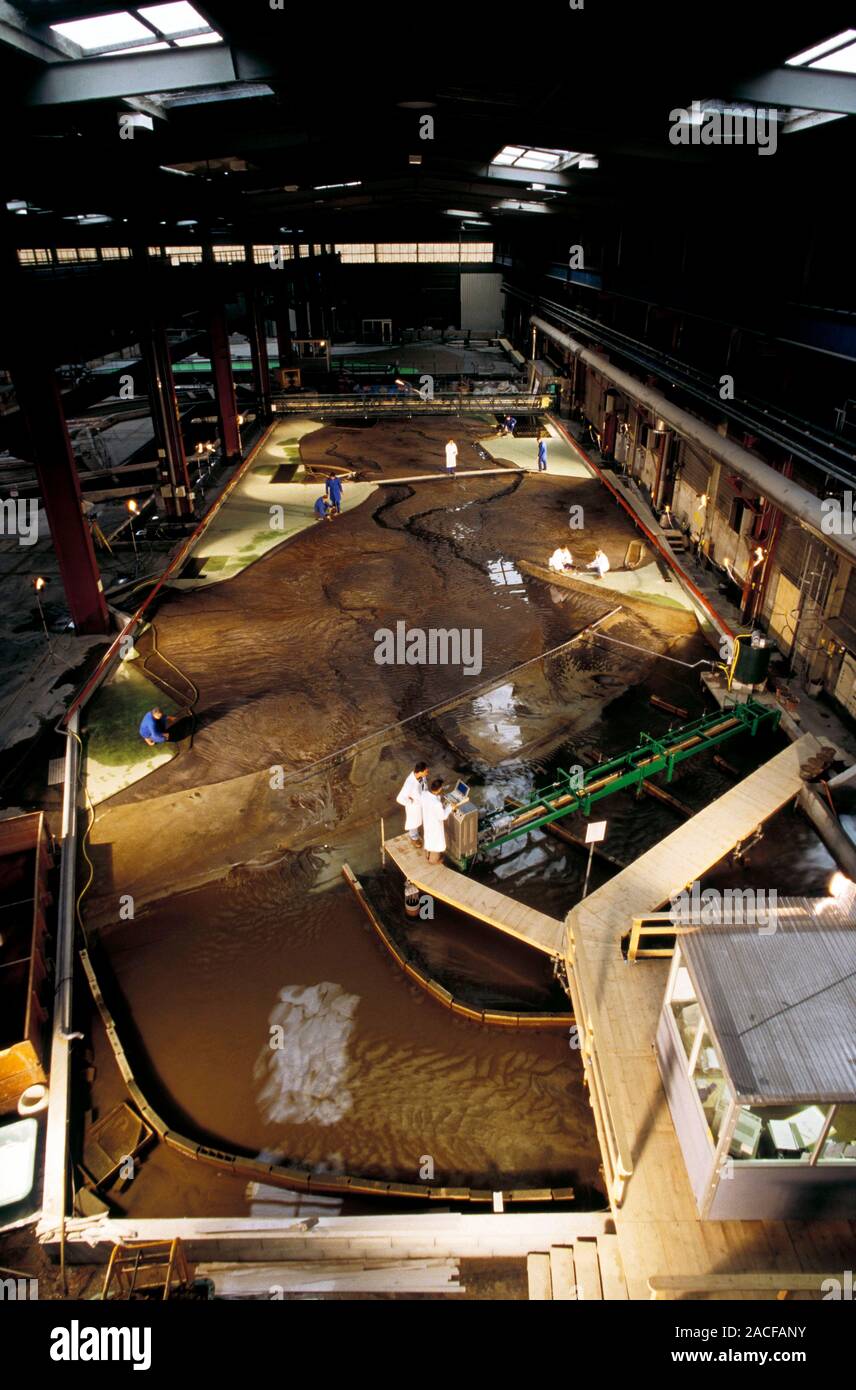 Coastal sediment deposition modelling. Overhead view of a water tank ...