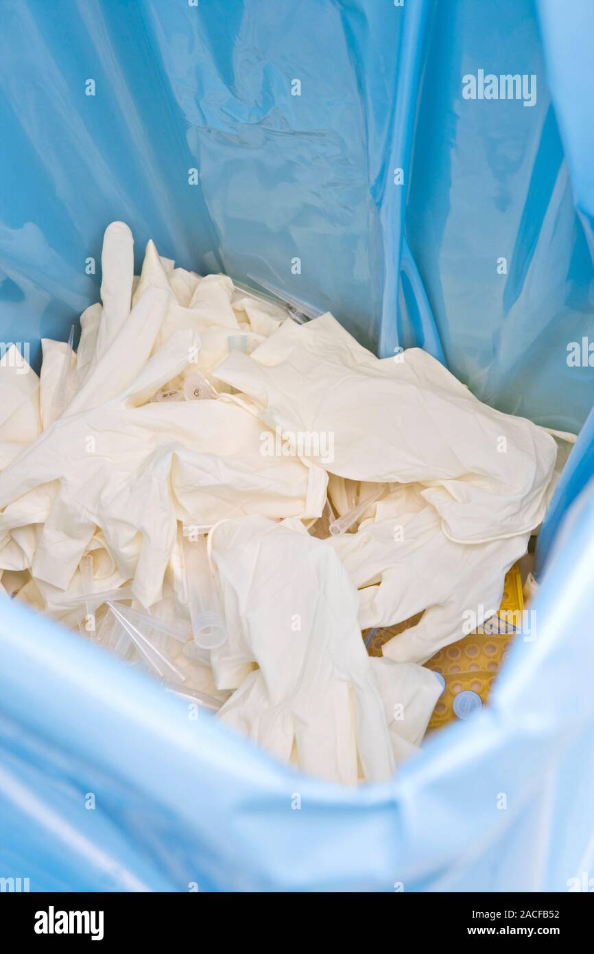 Laboratory waste. Discarded gloves in a laboratory waste bin ...