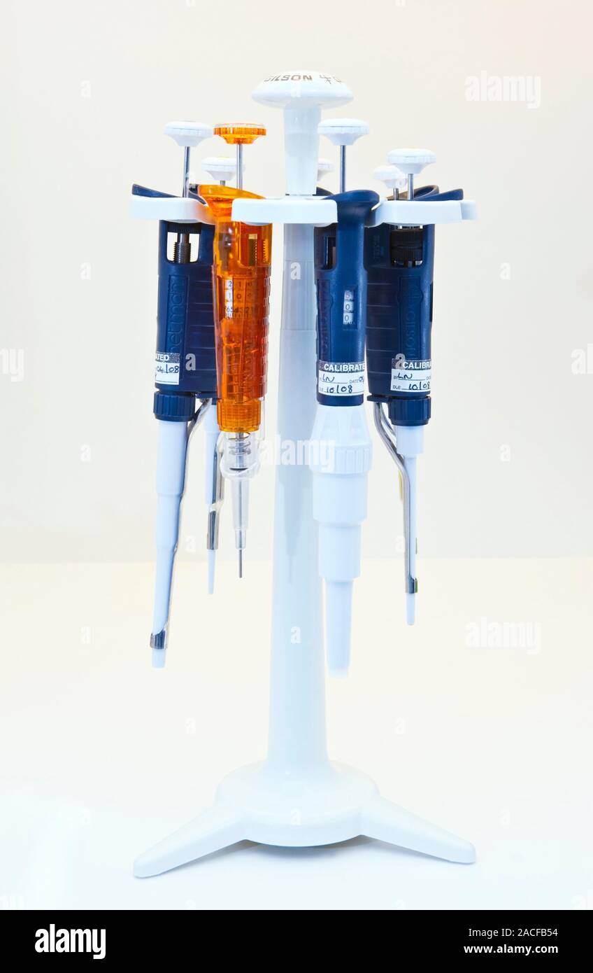Laboratory pipettes on a stand Stock Photo - Alamy