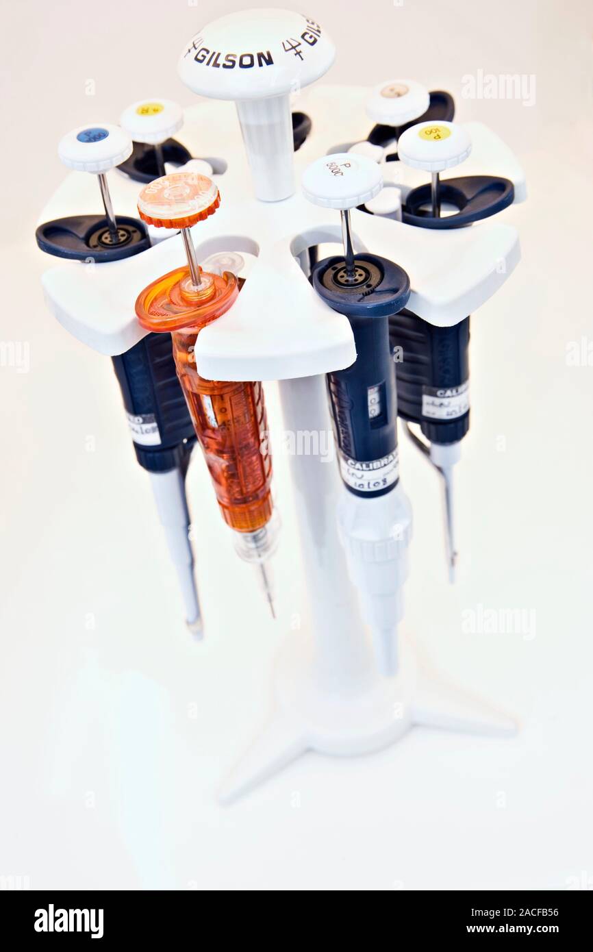 Laboratory pipettes on a stand Stock Photo - Alamy