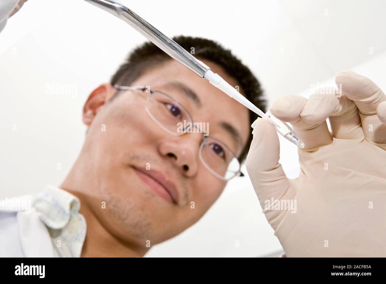 Protein analysis. Technician using a pipette to add solution to an ...