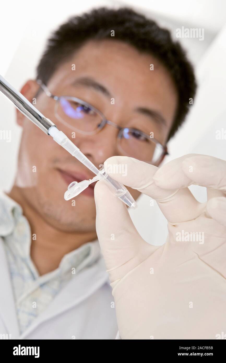 Protein analysis. Technician using a pipette to add solution to an ...