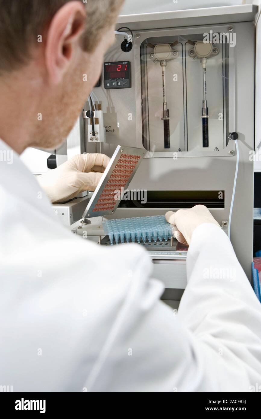 Protein analysis. Technician placing samples into a protein digester ...