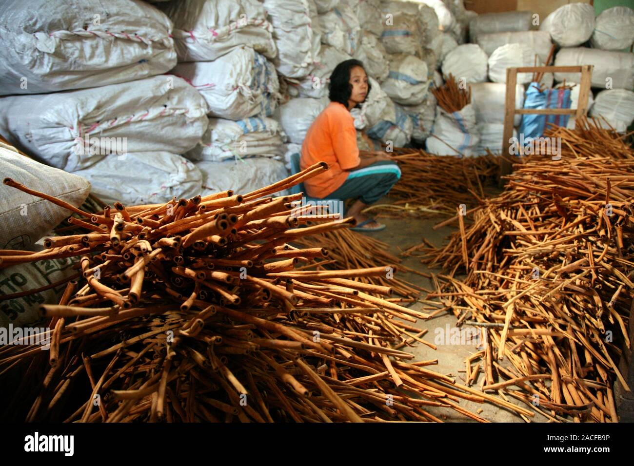 Indonesia, Sumatra, girl sitting by stacked cinnamon sticks made from ...