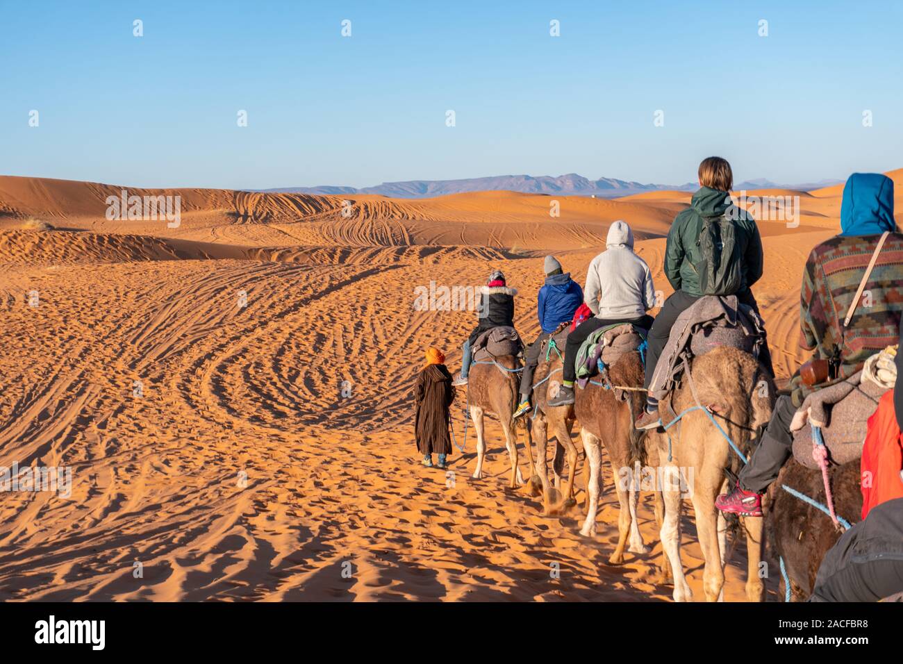 Sahara Desert Caravan