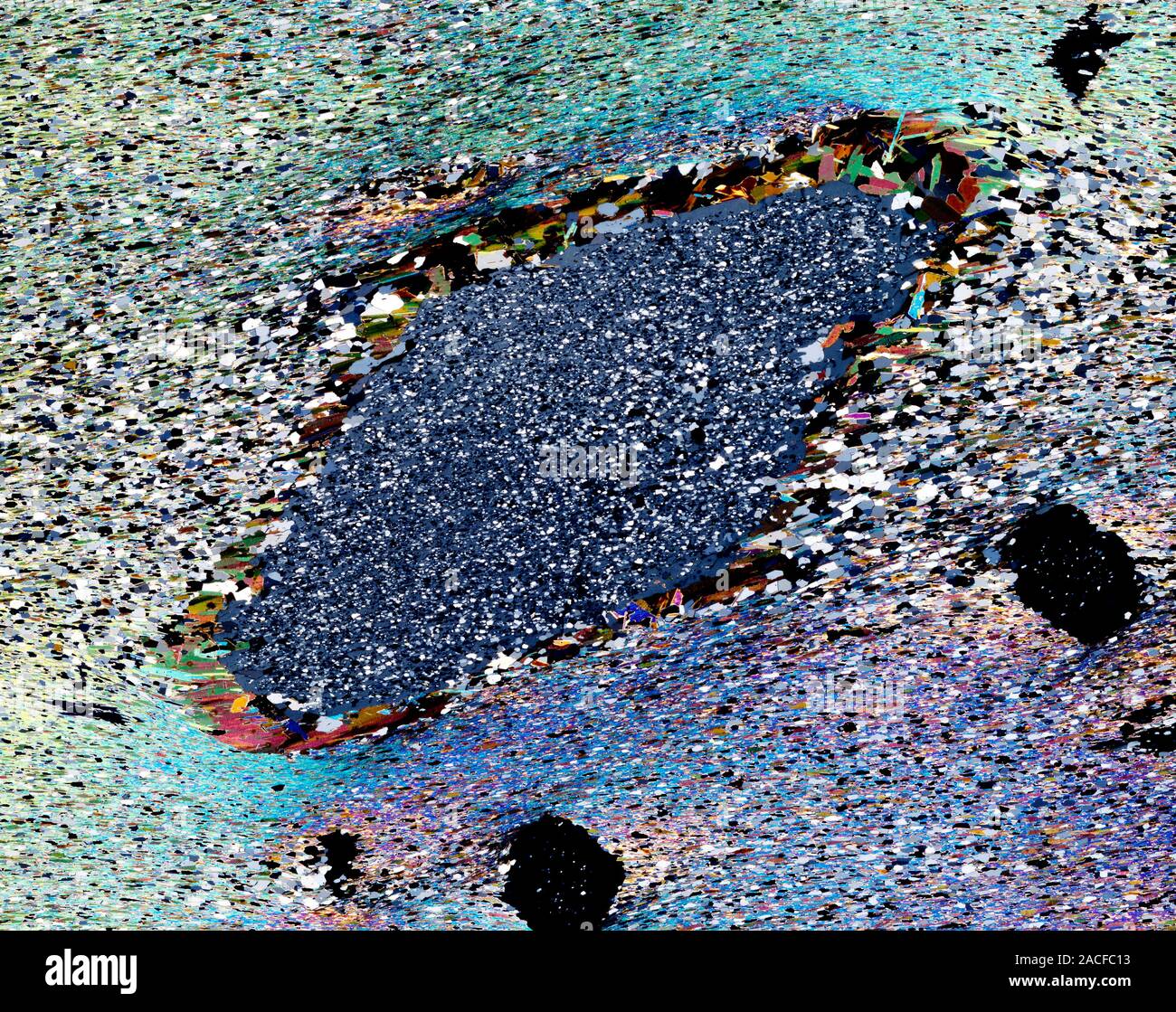 Staurolite crystal. Polarised light micrograph of a large staurolite ...
