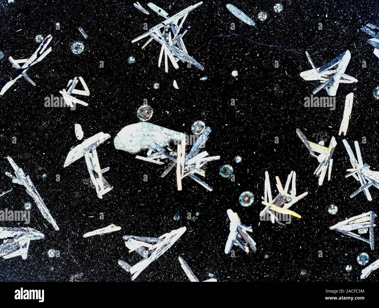 Andesite rock. Polarised light micrograph of andesite, a volcanic rock ...