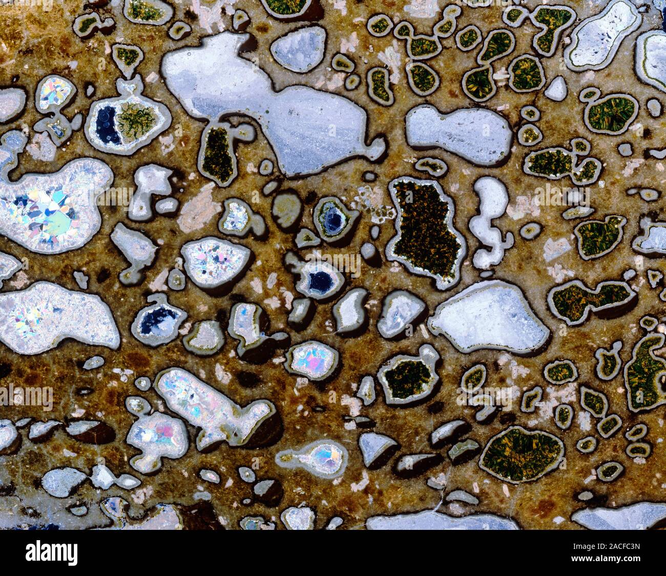 Melaphyr rock. Polarised light micrograph of melaphyr, a volcanic rock ...