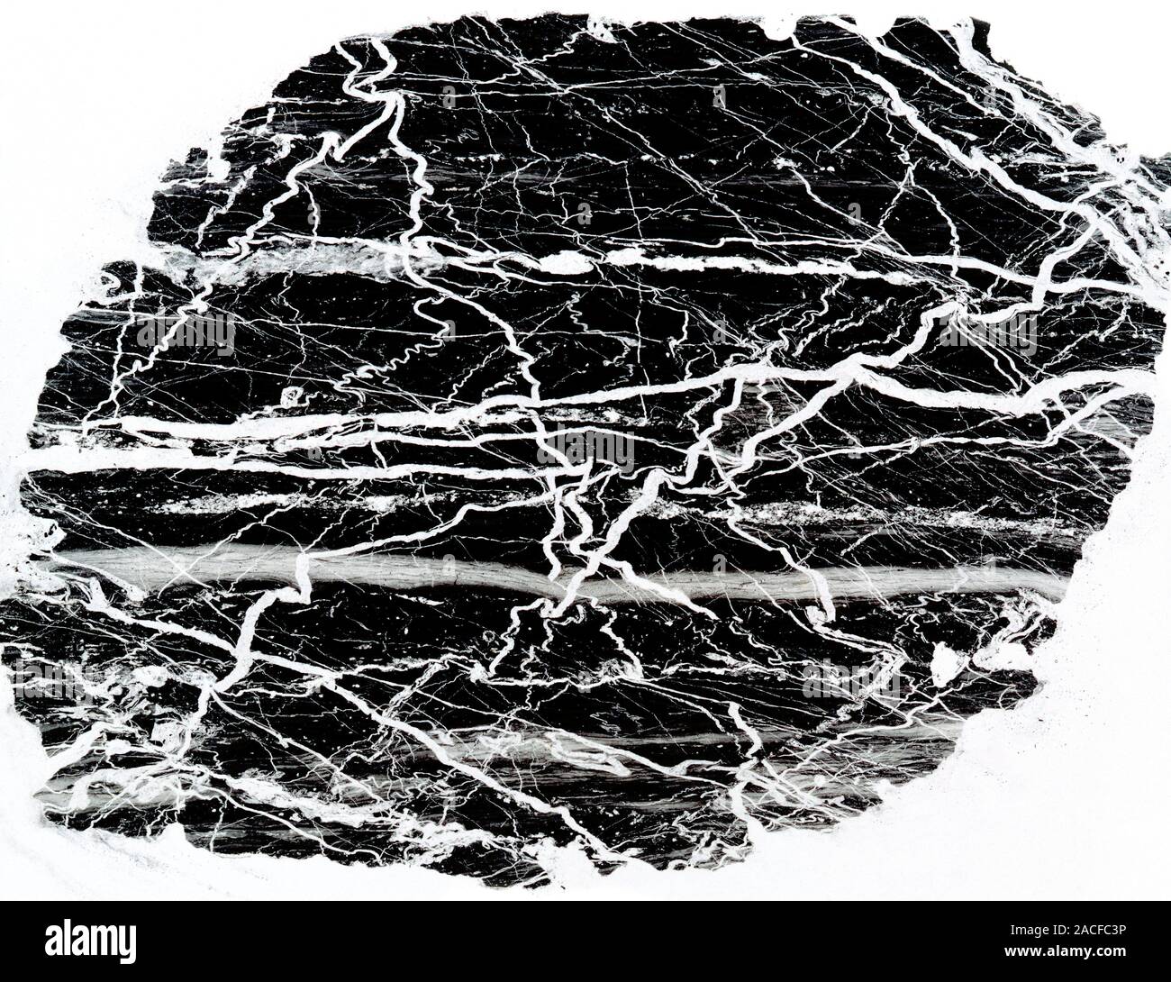Rock microveins. Light micrograph of a thin section of a rock, showing ...