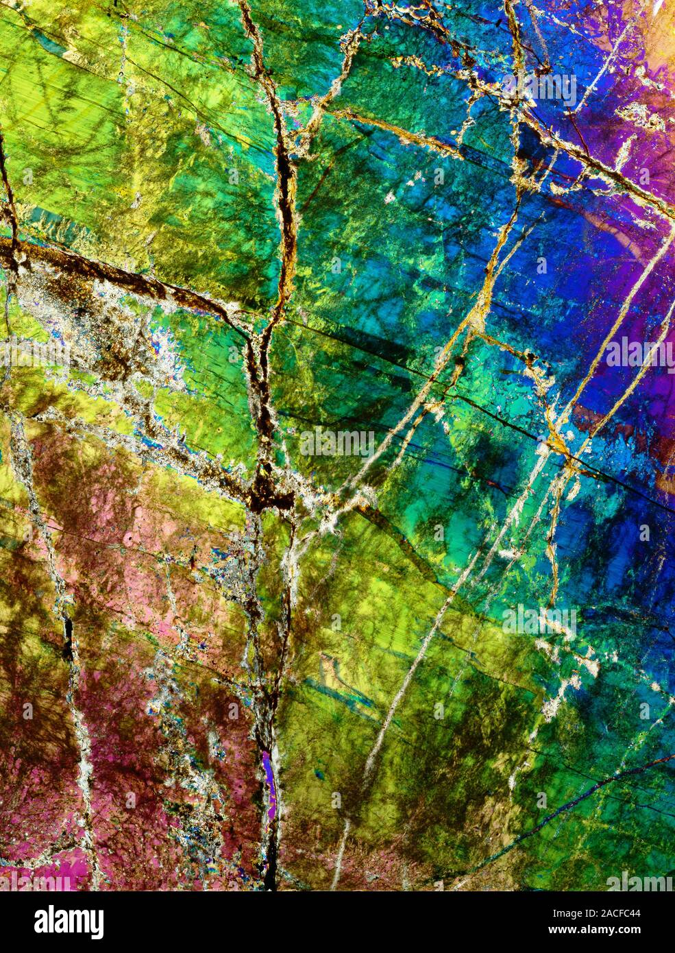 Amphibole mineral. Polarised light micrograph of a mineral from the ...