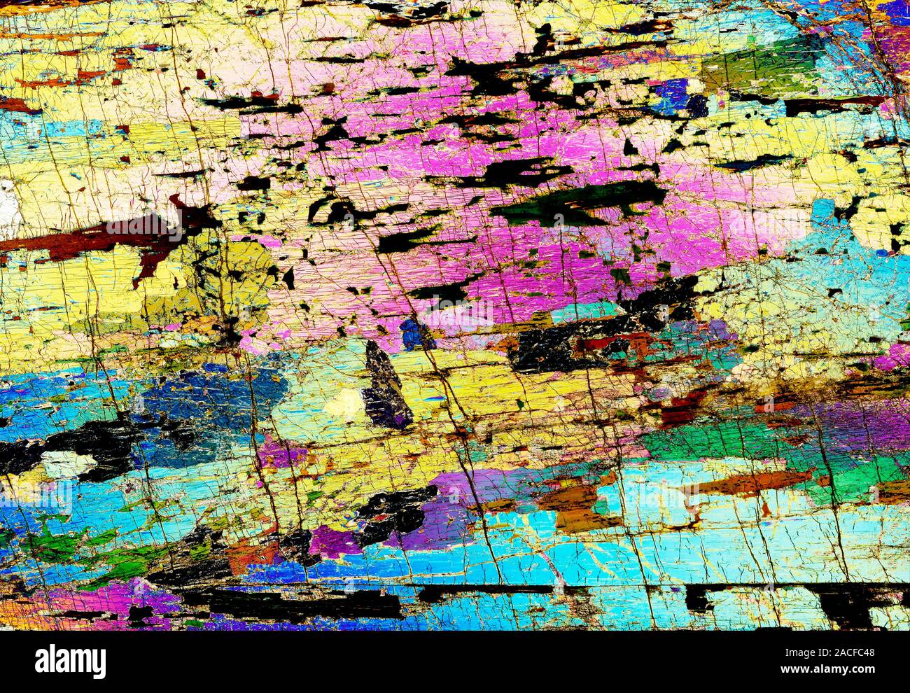 Hornblendite rock. Polarised light micrograph of hornblendite, an ...