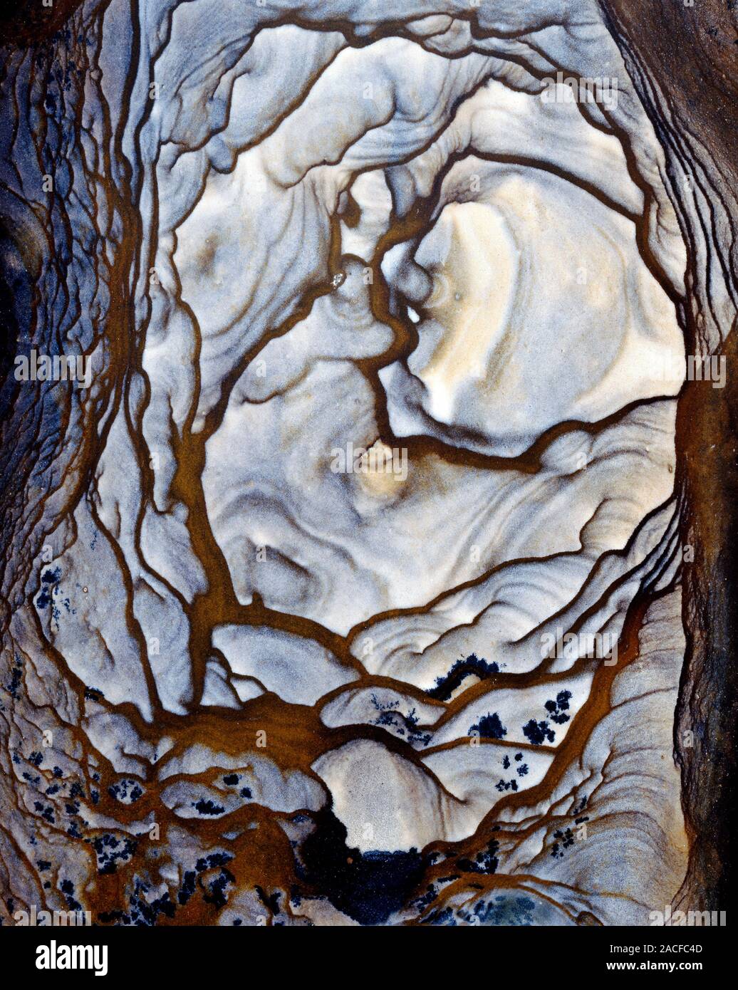Blue Biggs Jasper stone. Blue Biggs Jasper is a silicated volcanic ash ...