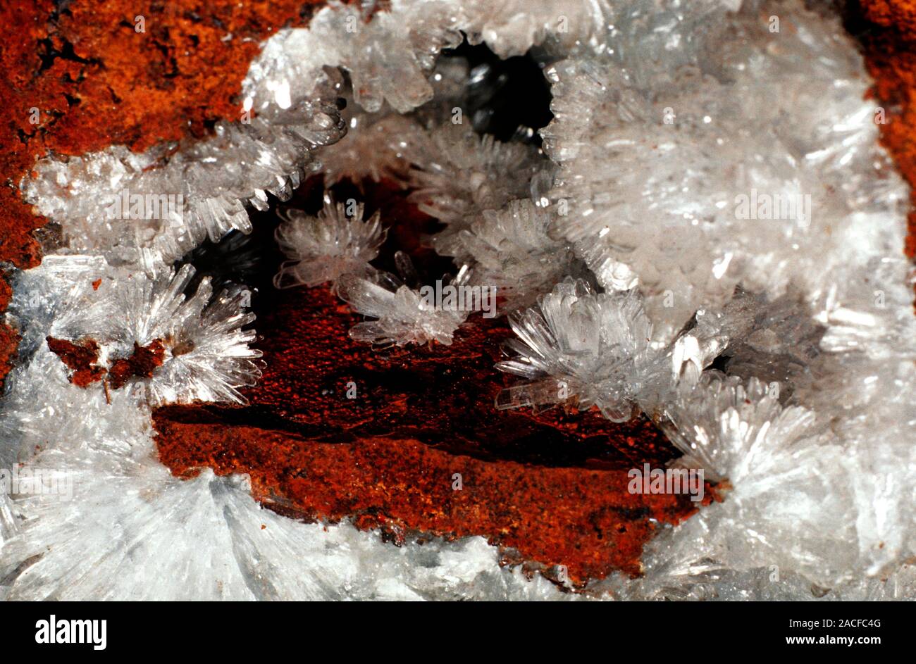 Gypsum crystals. These rosette-shaped crystal groups of gypsum (calcium ...