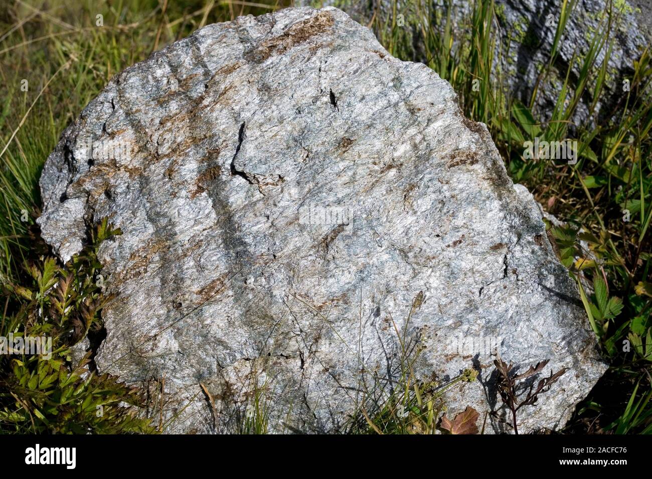 Erratic boulder of mica schist. This metamorphic rock is common in the ...