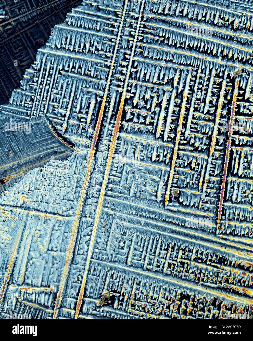 Urea crystals. Polarised light micrograph of crystals of urea, an ...