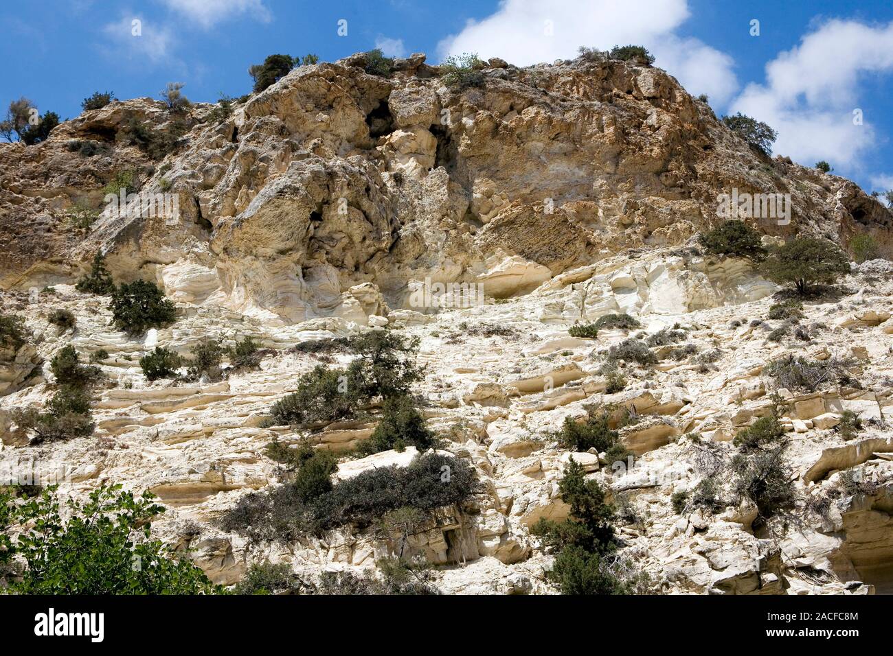 Reef remains in limestone. Limestone is a sedimentary rock laid down on ...