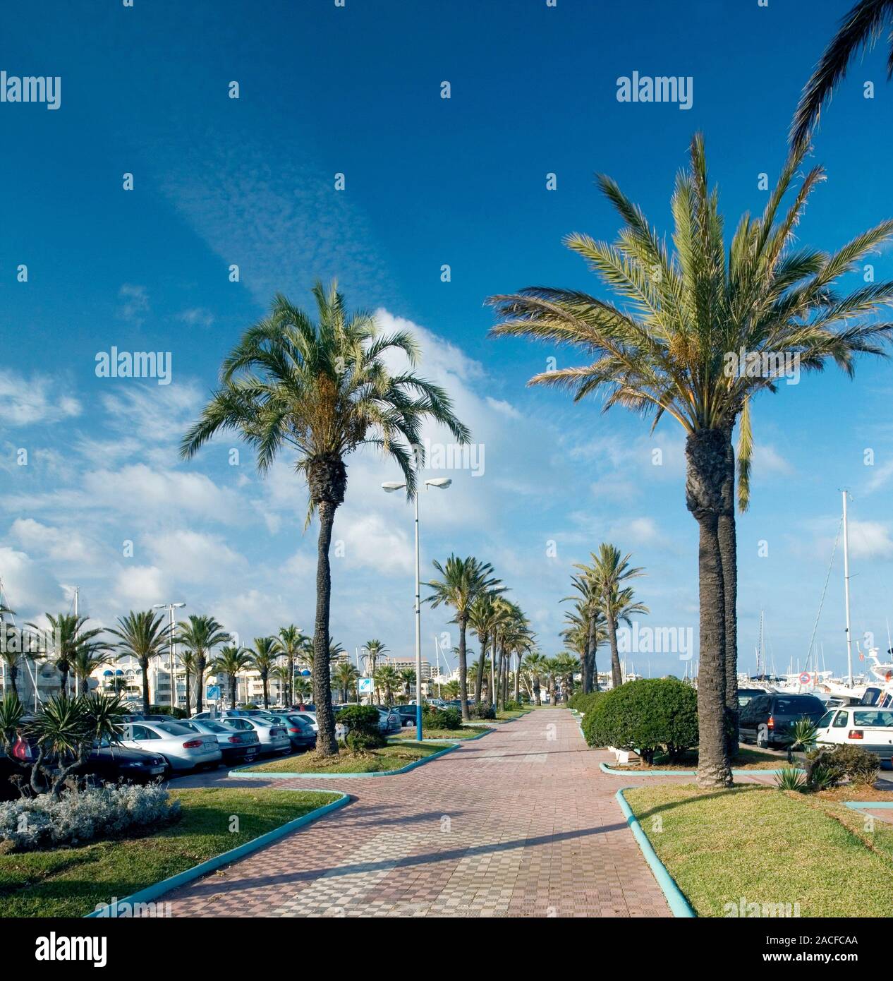 Pavement lined with palm trees at a marina in Benalmadena, Malaga ...