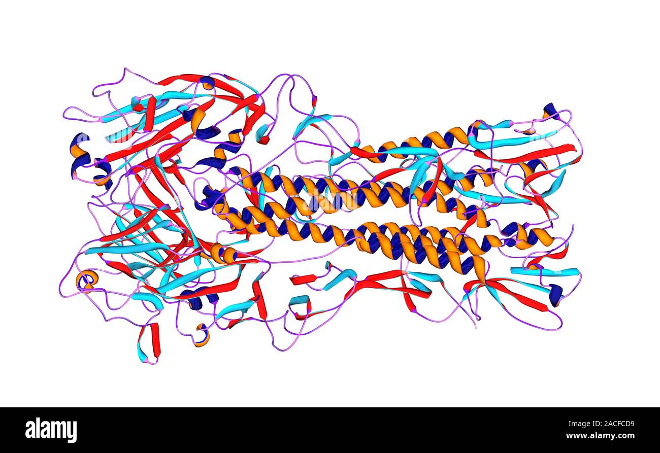 Spanish flu virus antigen. Computer model showing the molecular ...