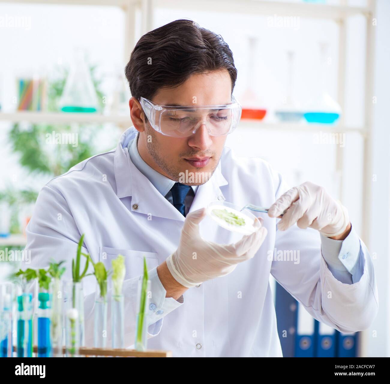 The male biochemist working in the lab on plants Stock Photo - Alamy
