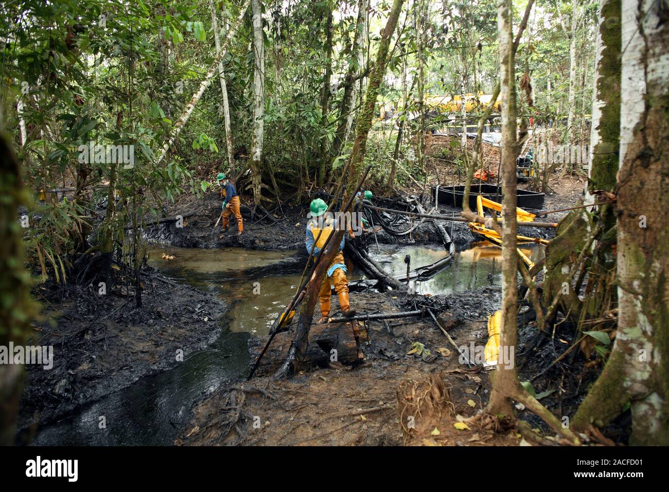 Oil spill damage control in a rainforest. Workers monitoring and ...