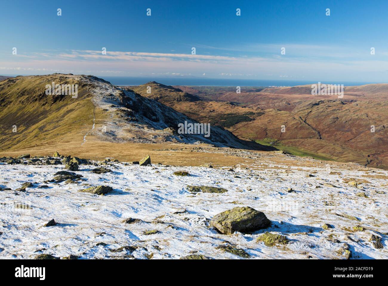 Grey friar hi-res stock photography and images - Alamy