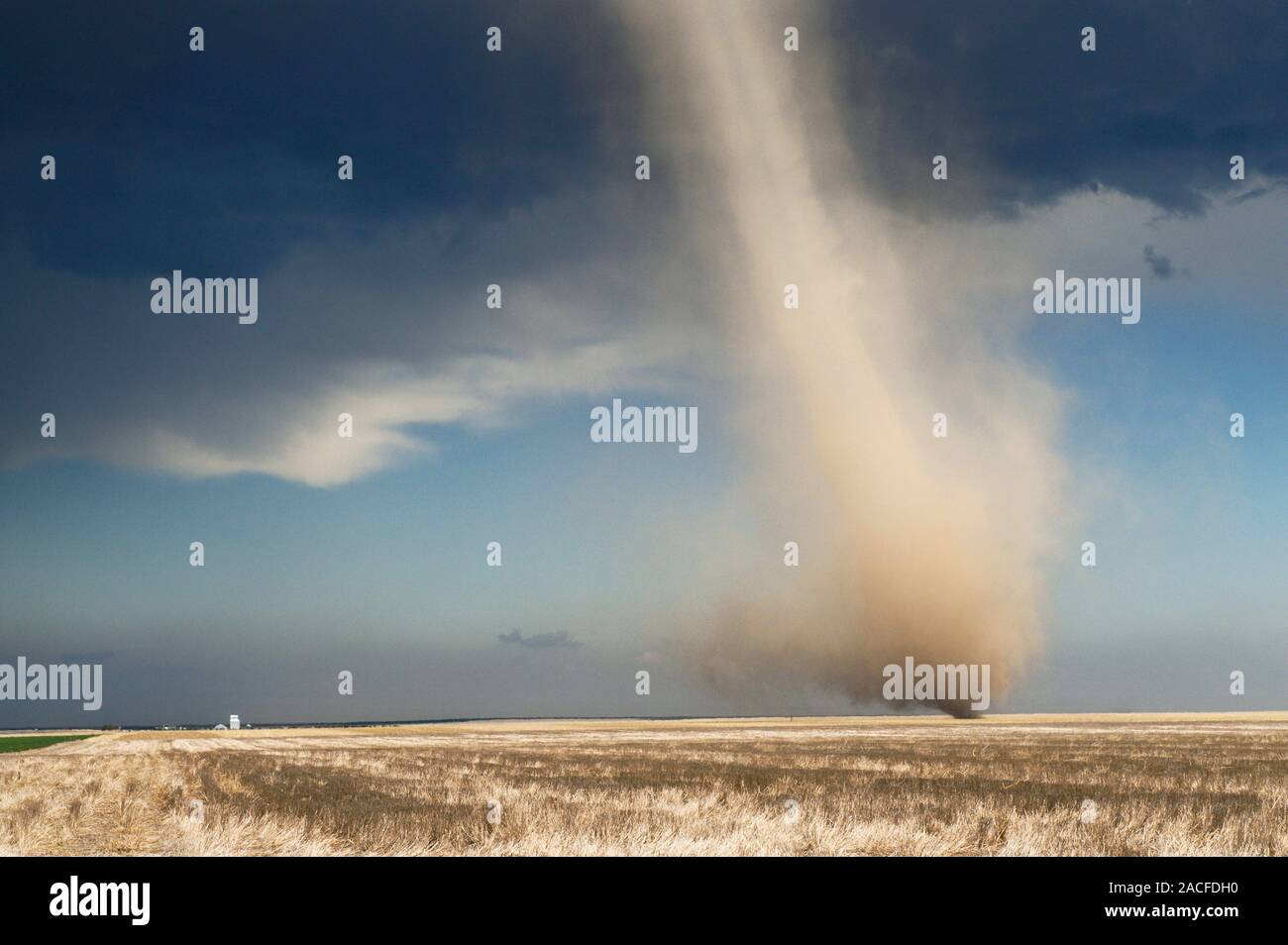 Landspout tornado with a debris cloud, crossing a farm field. A tornado ...