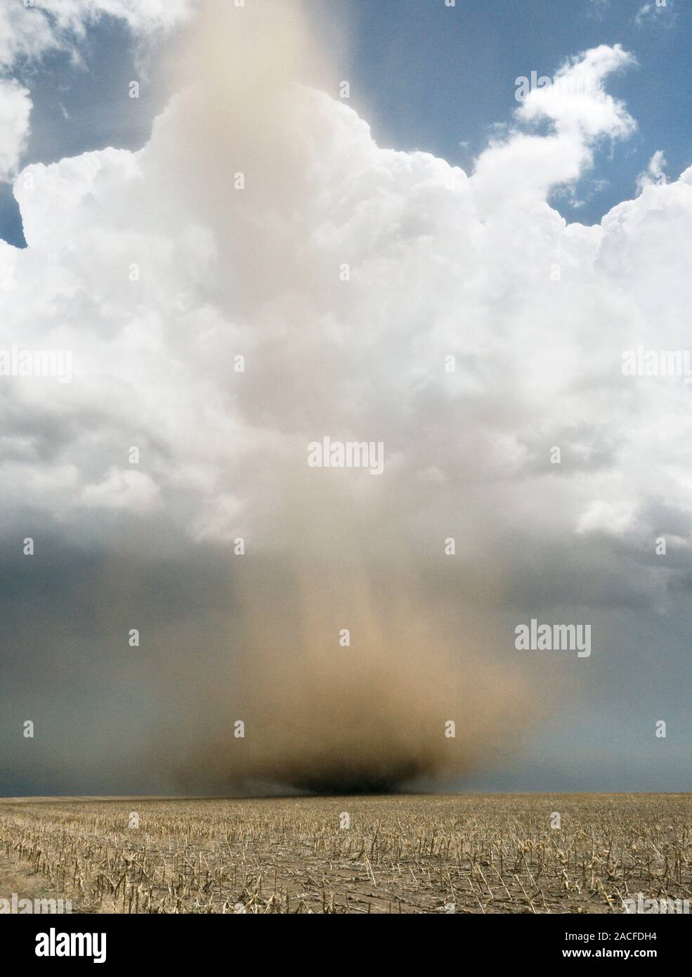 Landspout tornado with a debris cloud, crossing a farm field. This rare ...