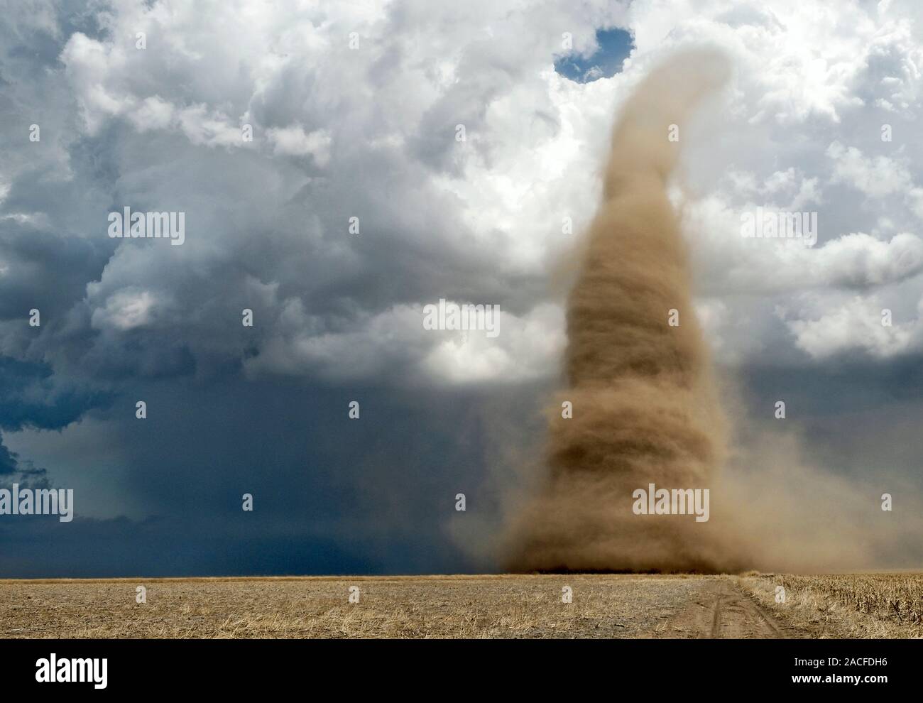 Landspout tornado with a debris cloud, crossing a farm field. This rare ...
