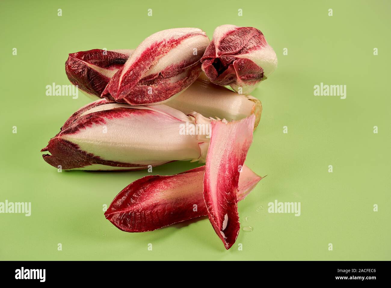 Belgian red endives or witloof isolated on greenish background Stock ...