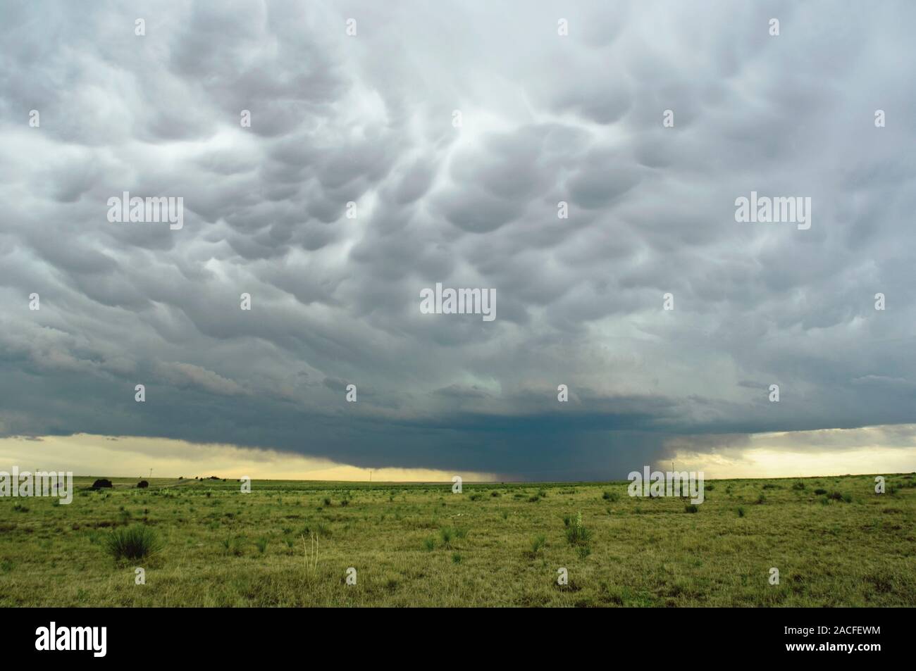 Mammatus clouds. These pouch-shaped clouds usually form on the ...