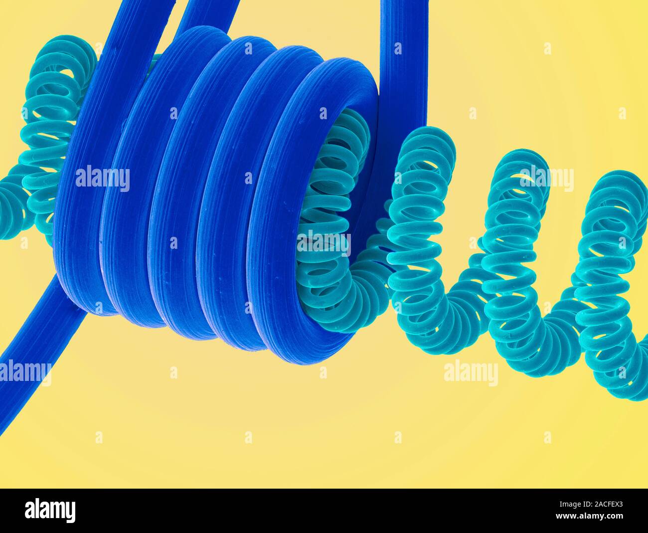 Light bulb filament. Coloured scanning electron micrograph (SEM) of a ...