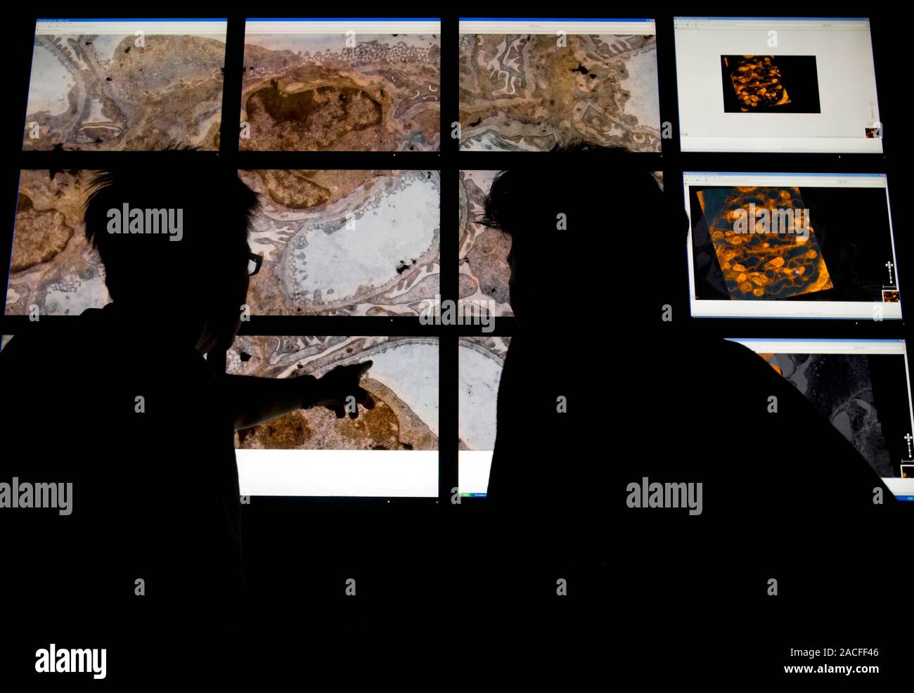 Cell mapping technology. Microbiologists using a computer system based ...