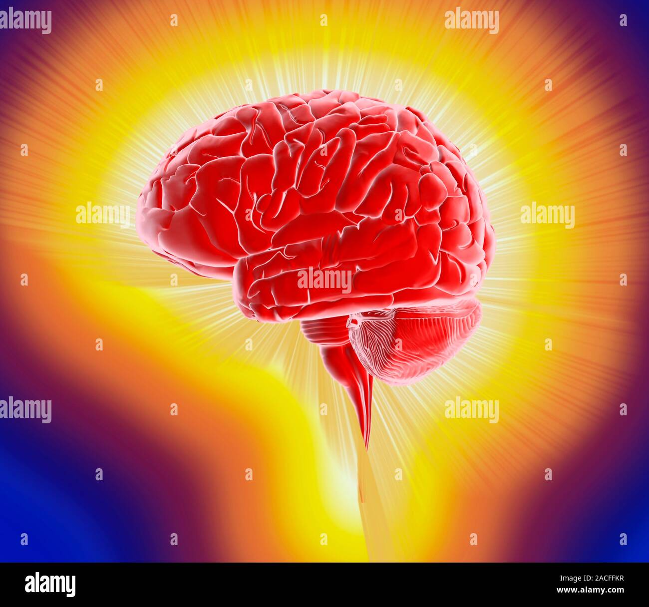 Creativity, conceptual computer artwork. Profile of a human brain ...