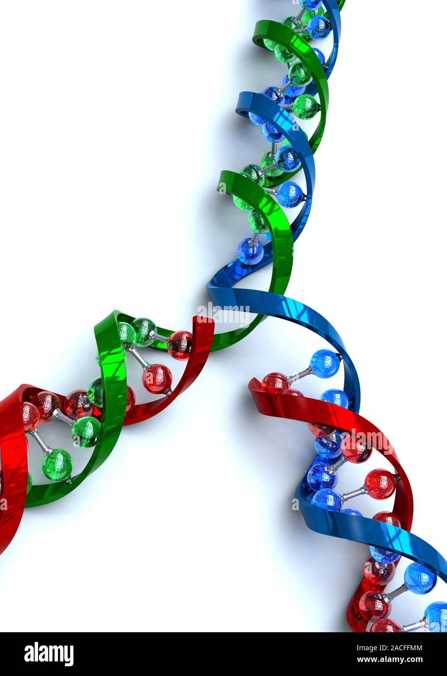 DNA replication. Computer artwork of a DNA (deoxyribonucleic acid ...