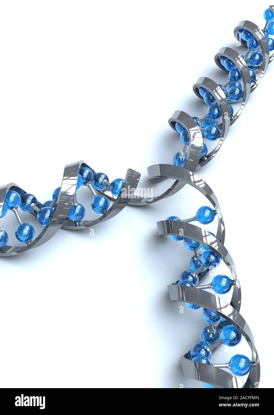 DNA replication. Computer artwork of a DNA (deoxyribonucleic acid ...