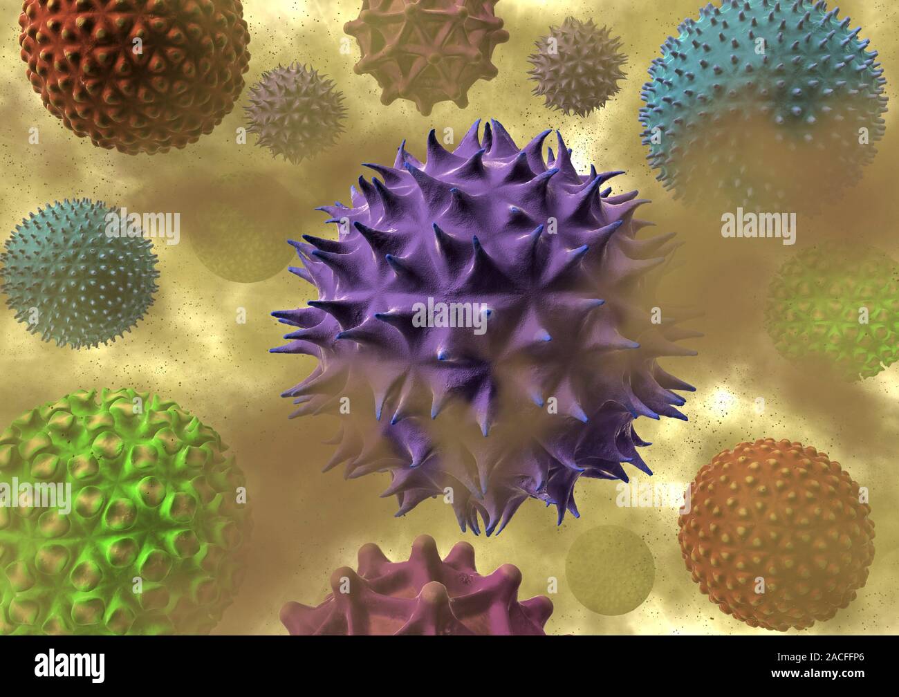 Pollen and dust, computer artwork. Both pollen and dust are allergens ...