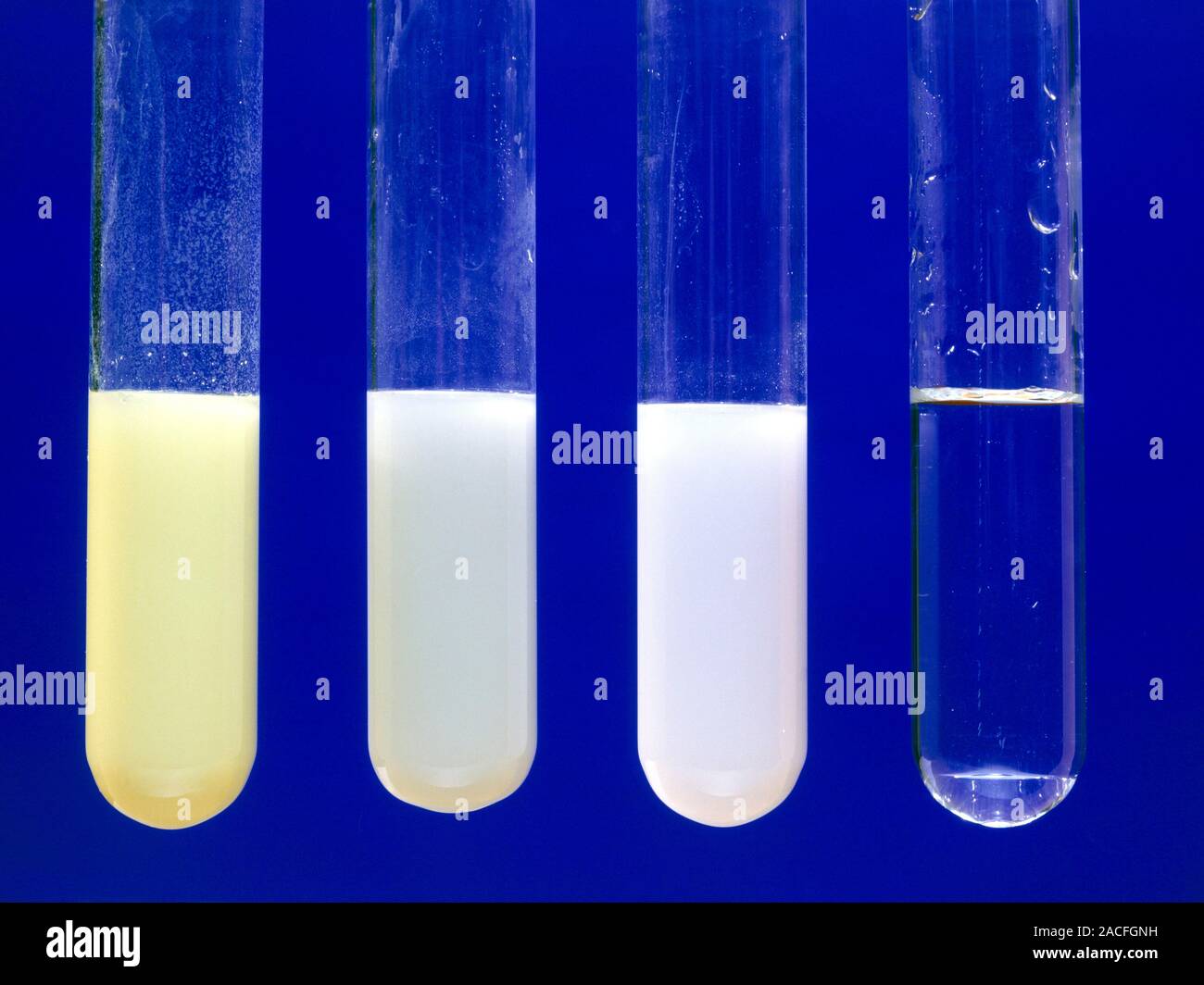 Silver halide precipitates. From left to right these are silver iodide ...