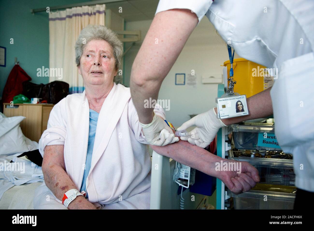 Taking blood. Nurse taking a blood sample from an elderly patient's arm ...
