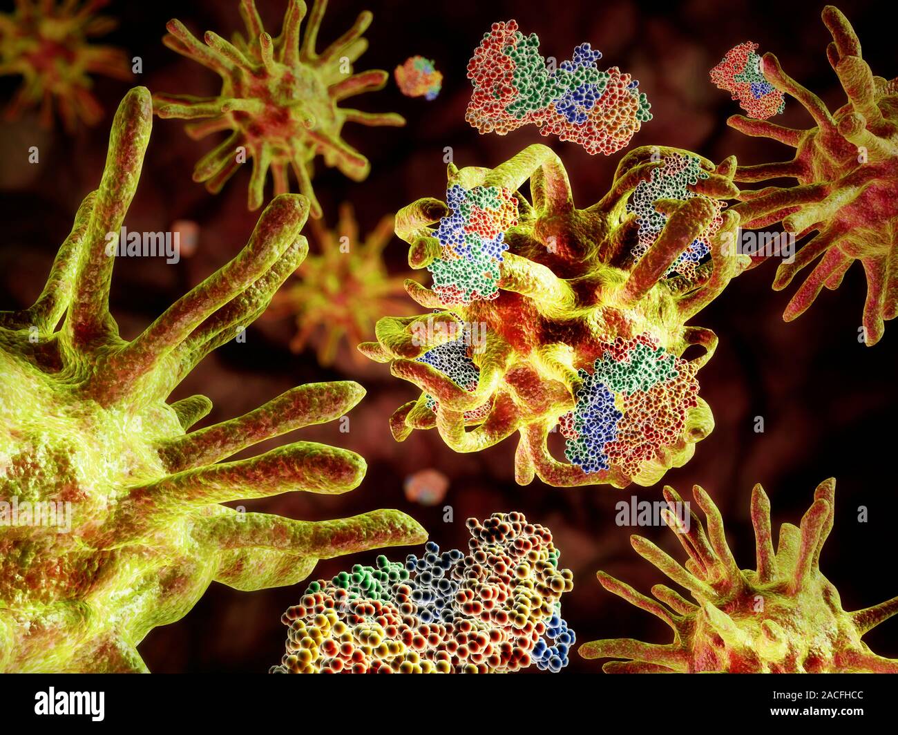 Prions destroying dendritic cells. Artwork showing prions ...