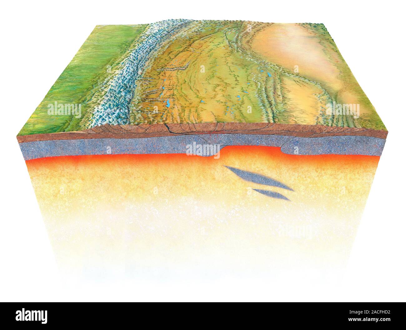 Formation of the Himalayas. Computer artwork showing the geological ...