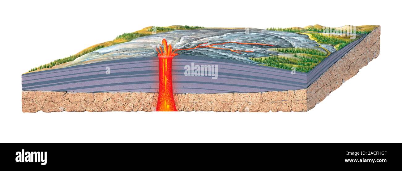 Shield volcano erupting. Cutaway computer artwork showing the internal ...