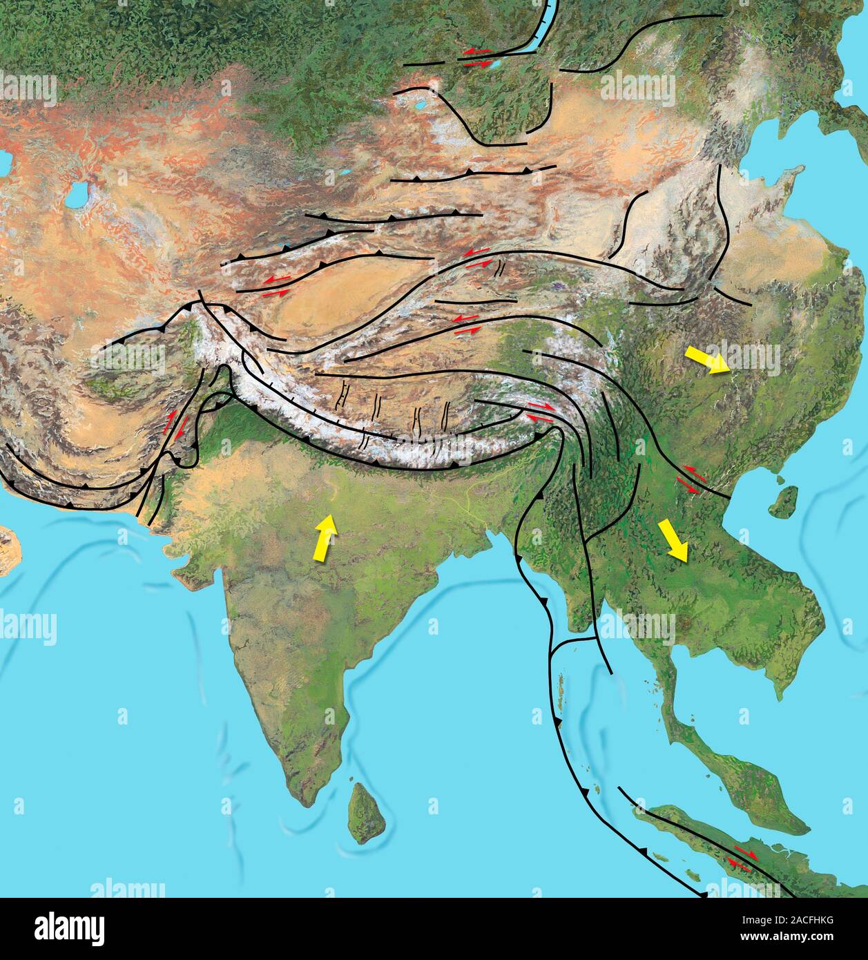Tectonic map of Asia. Computer artwork showing the direction of ...