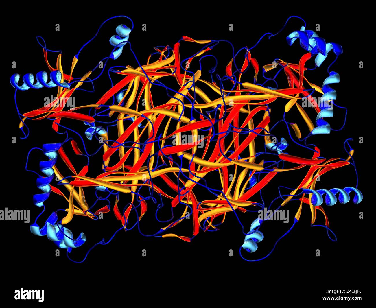Lysyl oxidase enzyme molecule. Computer artwork showing the secondary ...