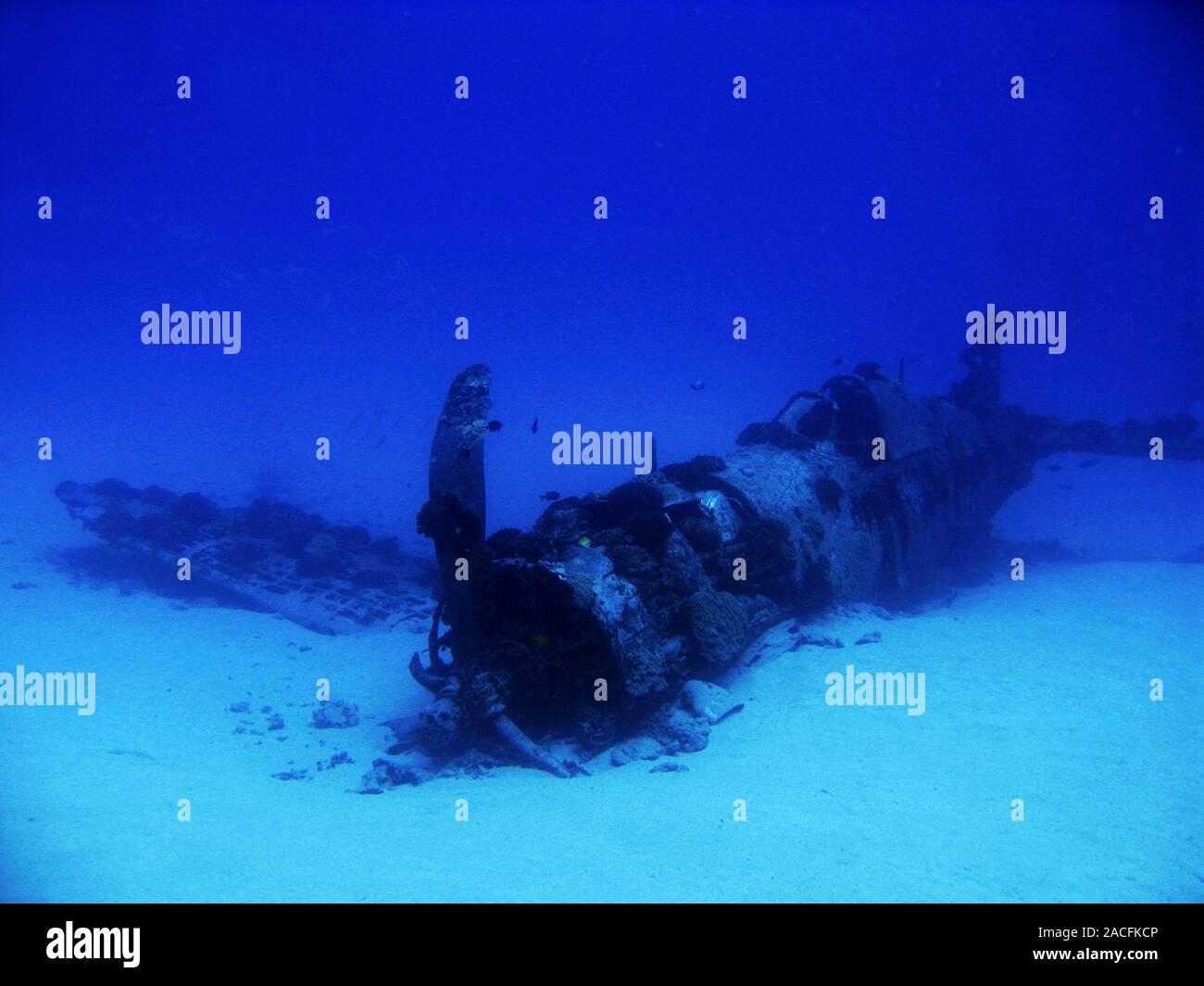 World War II fighter plane wreck. Sunken wreck of an F4U Corsair ...