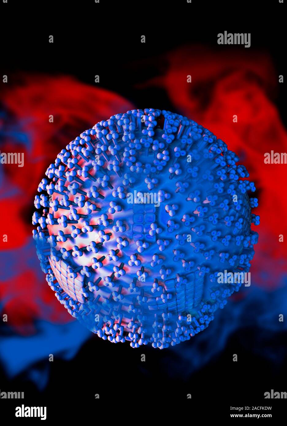H1N1 flu virus particle. Computer artwork of an H1N1 influenza (flu) A ...