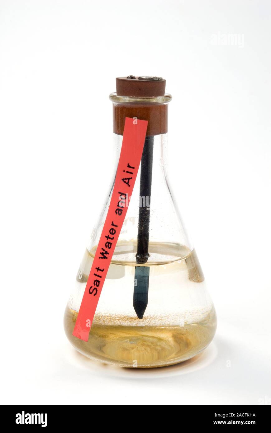 Iron nail in salt water and air. Experiment to show the corrosive ...