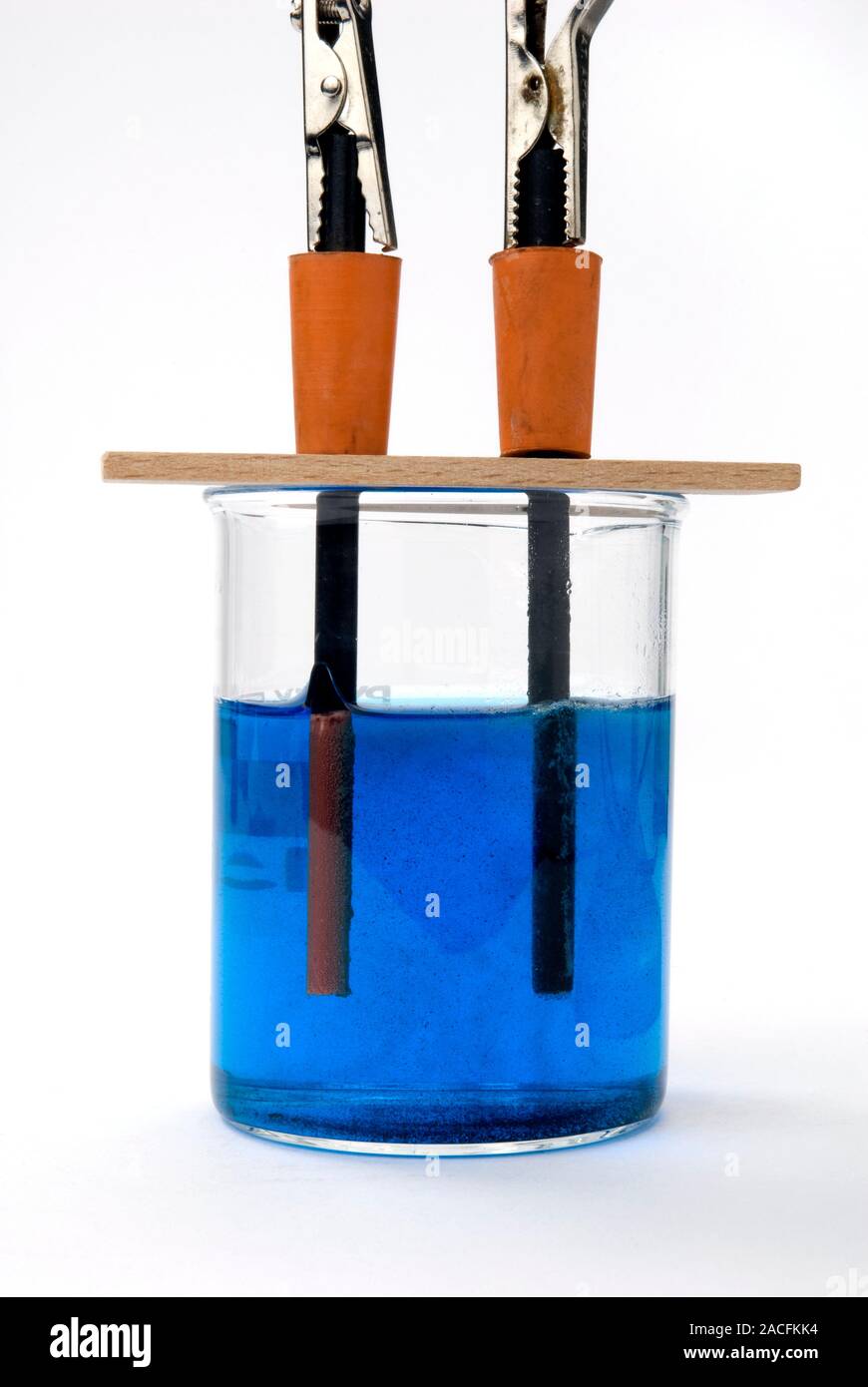 Electrolysis of copper sulphate. Glass beaker of copper sulphate ...